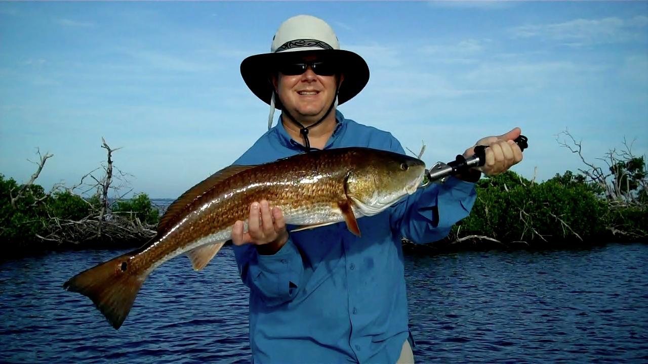 How To Catch RedFish – Catching Reds, the Red Drum